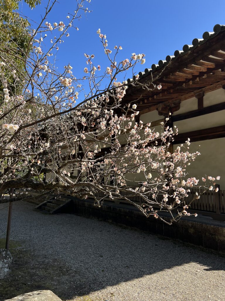 秋篠寺 優美な伎芸天に会える静寂の寺 | Chrononaut Nara