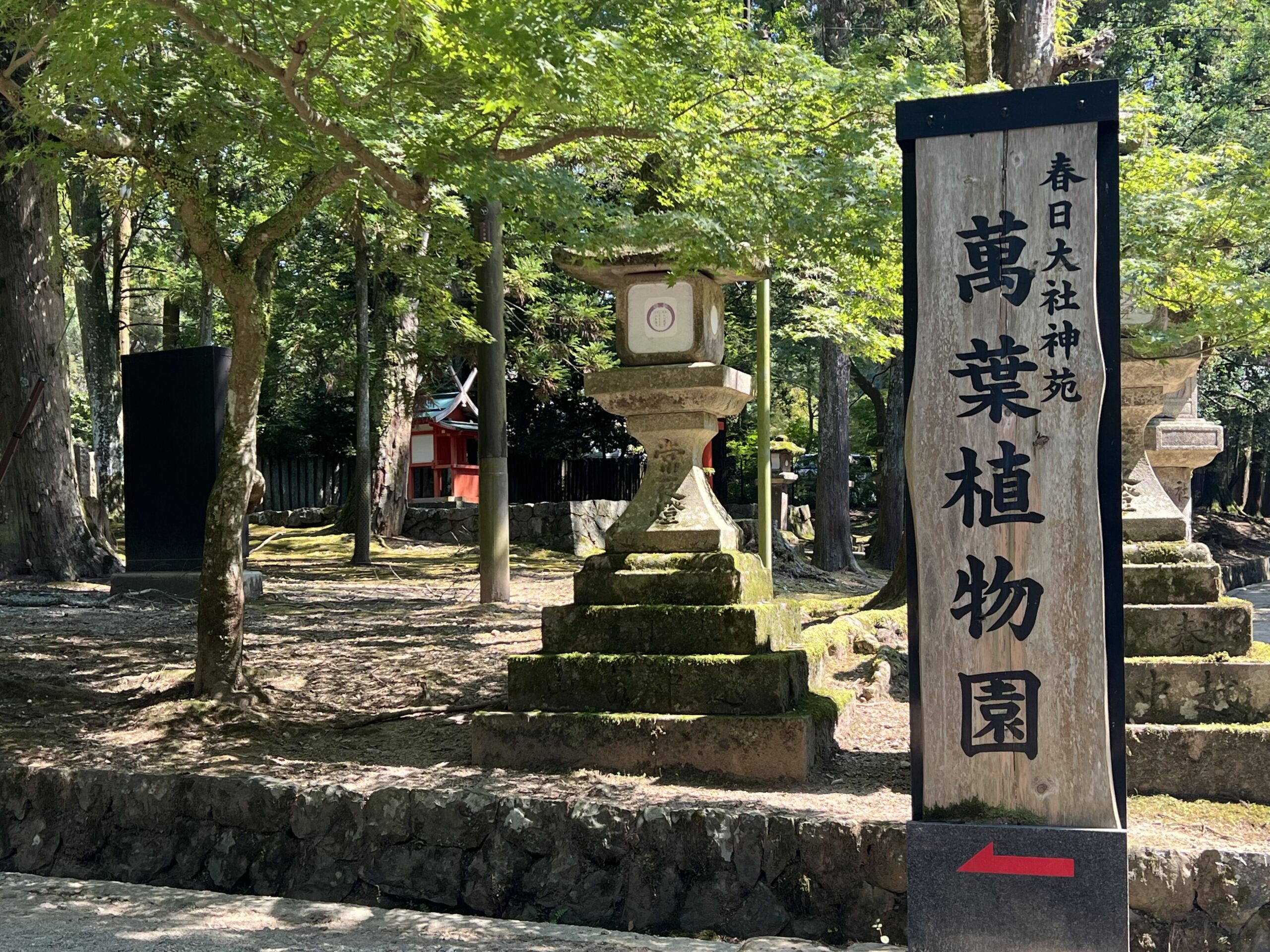 万葉集の「あさがほ」 | Chrononaut Nara