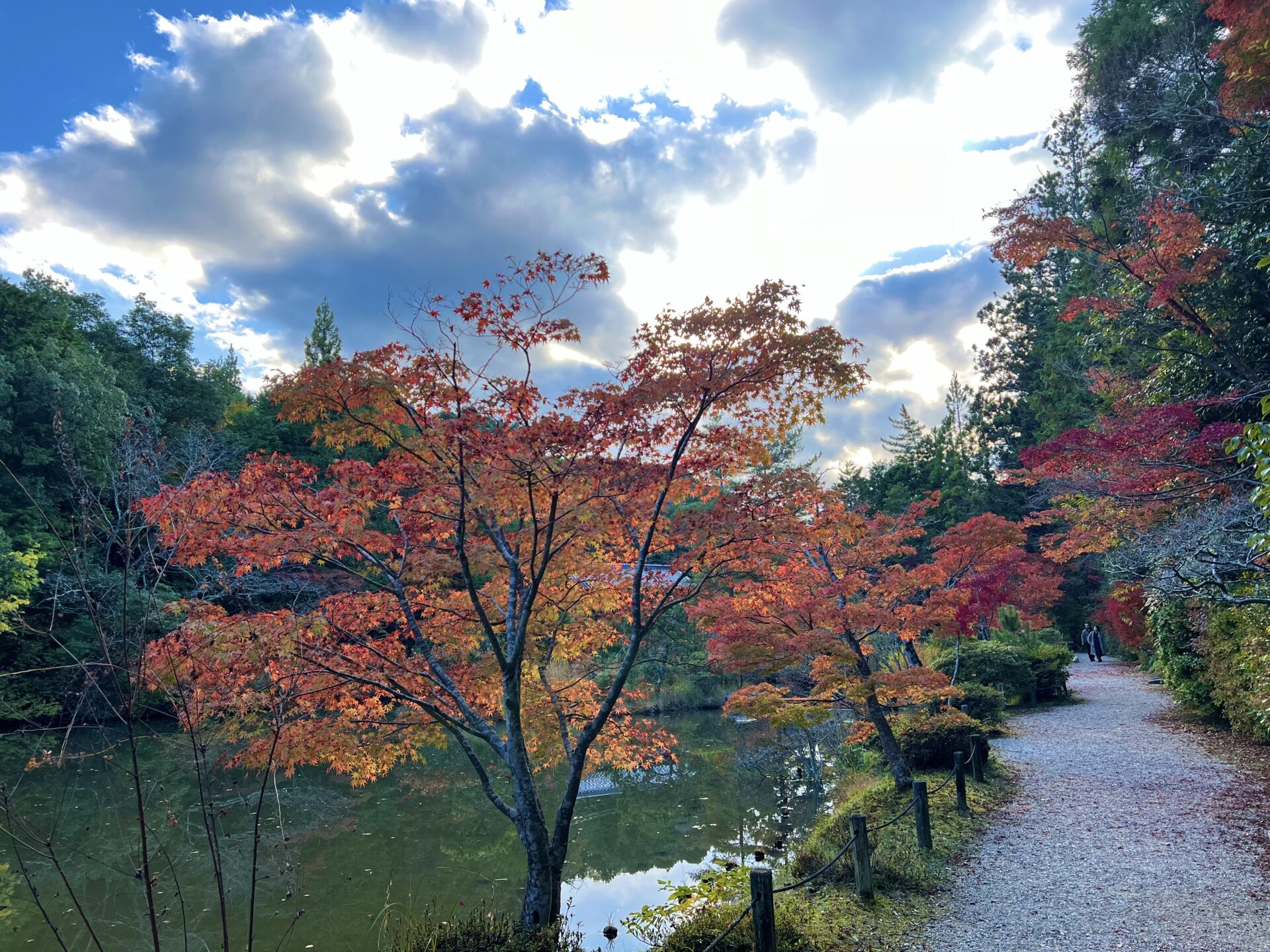 麗しの大日如来三体 その2 忍辱山（にんにくせん）円成寺 | Chrononaut Nara