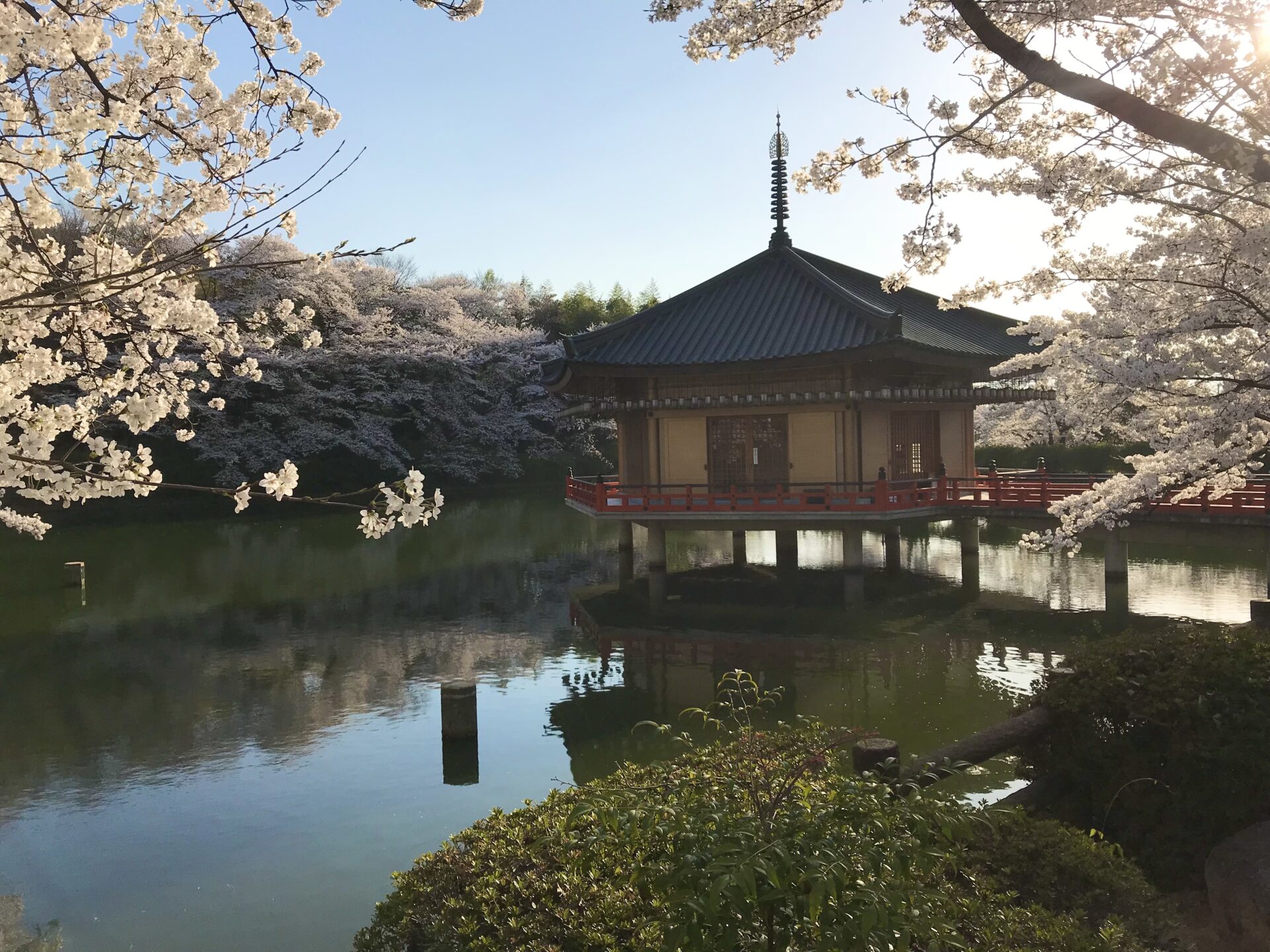 安倍文殊院 大迫力の騎獅文殊菩薩像 | Chrononaut Nara