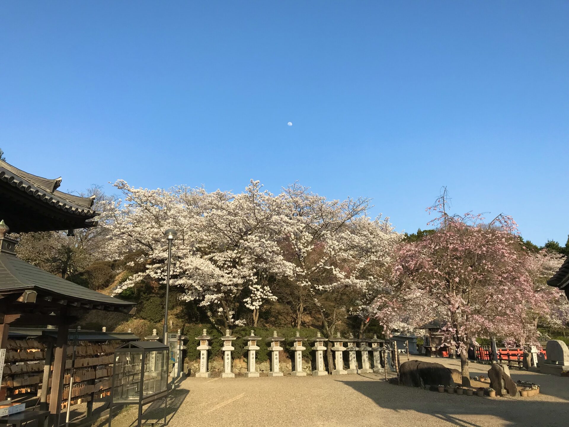 安倍文殊院 大迫力の騎獅文殊菩薩像 | Chrononaut Nara